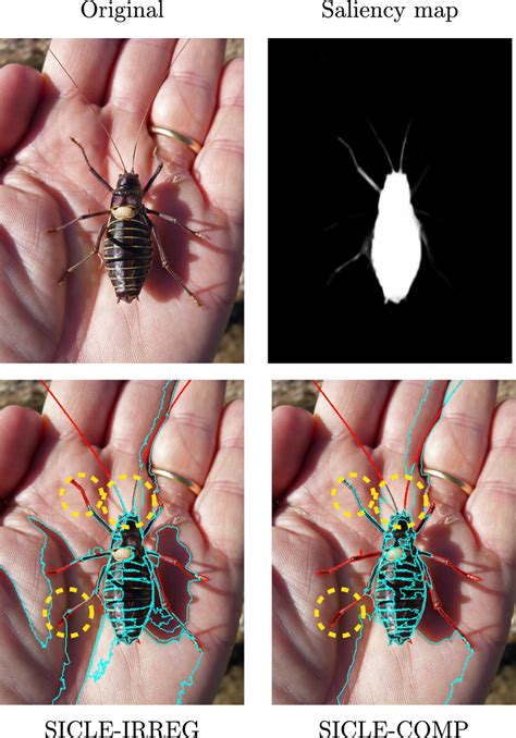 Examples Of The Limitations Of Our Approaches Even When Assisted By A Download Scientific