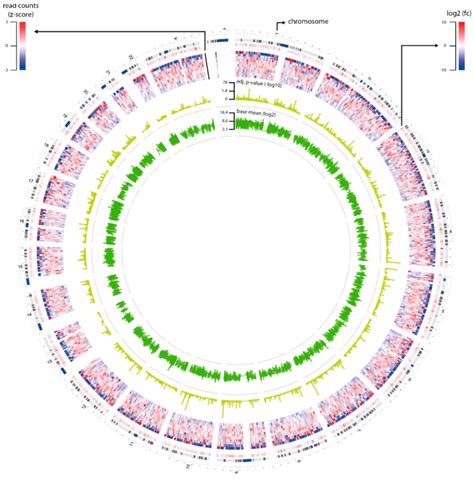 Overview Of Rna Sequencing Data The Circus Plot Shows Statistics Of Download Scientific