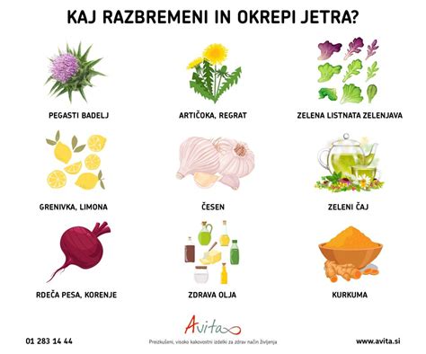 Preglednica Jetra Kaj Jih Krepi In Razbremeni Avita Avita