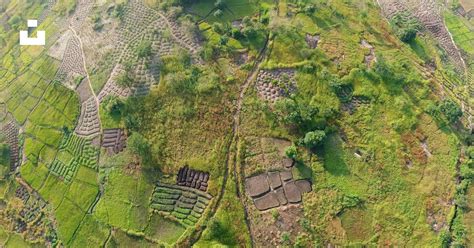 푸른 잔디밭의 항공 사진 사진 Unsplash의 무료 나무 이미지