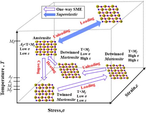 Phase Transformation Process Of Sma [2] Download Scientific Diagram