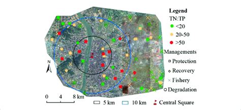 Distribution Of Tntp Ratios Molmol In Each Sampled Small Water Body