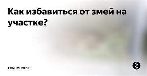 Как избавиться от змей на участке Forumhouse Дзен