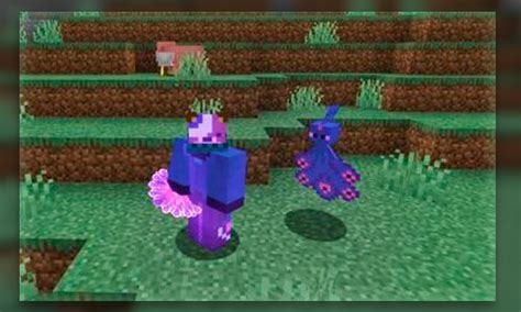 دانلود برنامه Ladybug Mod For Minecraft اندروید بازار