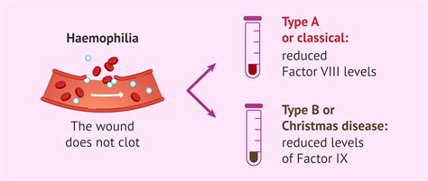 Two Types Of Hemophilia