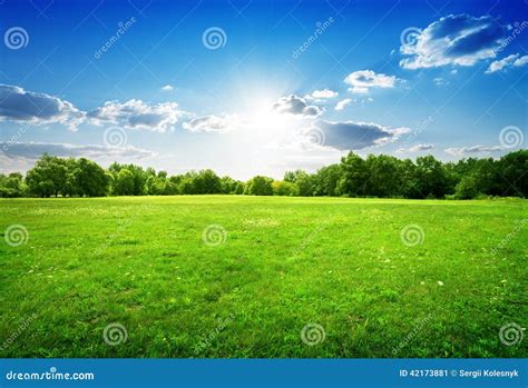Green Grass Background Artificial Grass For Background Or Wallpaper Royalty Free Stock Image