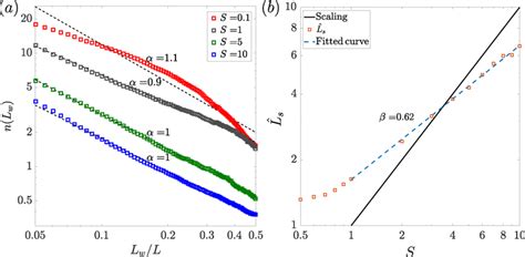 A The Linear Density Of Wormholes Longer Than Lw N Lw Wormhole Download Scientific Diagram