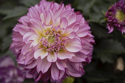 Artificial Ecosystem Images Free Photos Png Stickers Wallpapers And Backgrounds Rawpixel