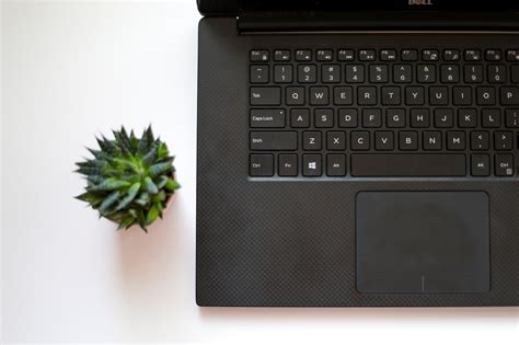 Html 입력 Placeholder 활용법 살펴보기 오늘 올라온 최신 정보