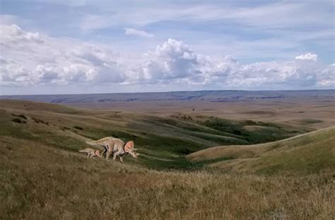 Alberta West News Information On Hand Hills Ecological Reserve