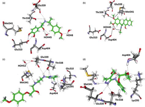 Molecular Docking Result A Nci Compound B Chembridge Compound
