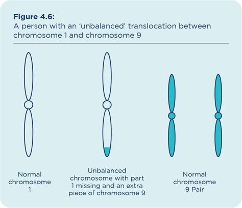 Chromosome Structure For The First Time A New Structure Of Dna Has