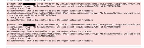 pytorch widedeep the kernel appears to have died it will restart