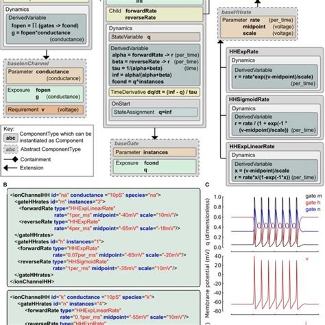 Example Of Adaptive Exponential Integrate And Fire Neuron Model Download Scientific Diagram