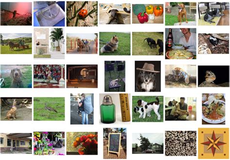2 Pre Trained Networks · Deep Learning With Pytorch