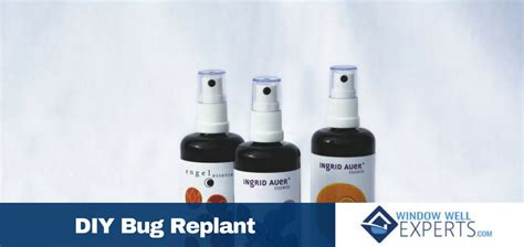Diy Bug Repellent To How To Keep The Bugs Away From Home