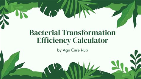 Bacterial Transformation Efficiency Calculator Agri Care Hub