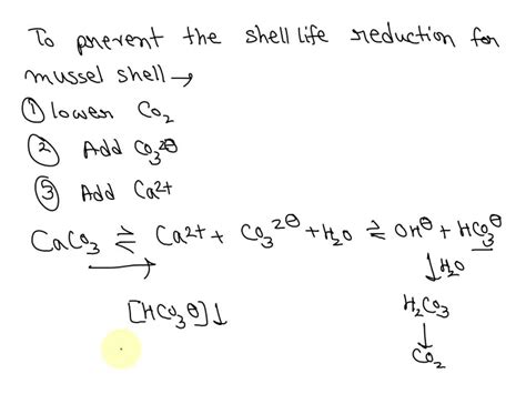 Solved The Mussel Shells Are Eroding Because The Ocean Is Too Acidic More Acidic Oceans