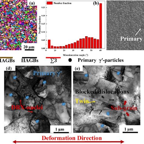 microstructure of the alloy deformed at 980 c and 0 01 s a ipf map