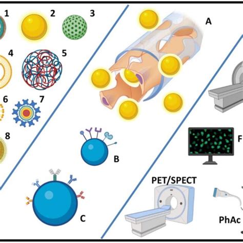 Most Common Nanoparticles For Theranostic Purposes In Breast Lung And