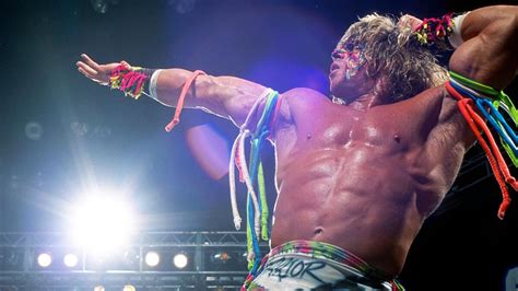 Dana Hellwig Married Ultimate Warrior