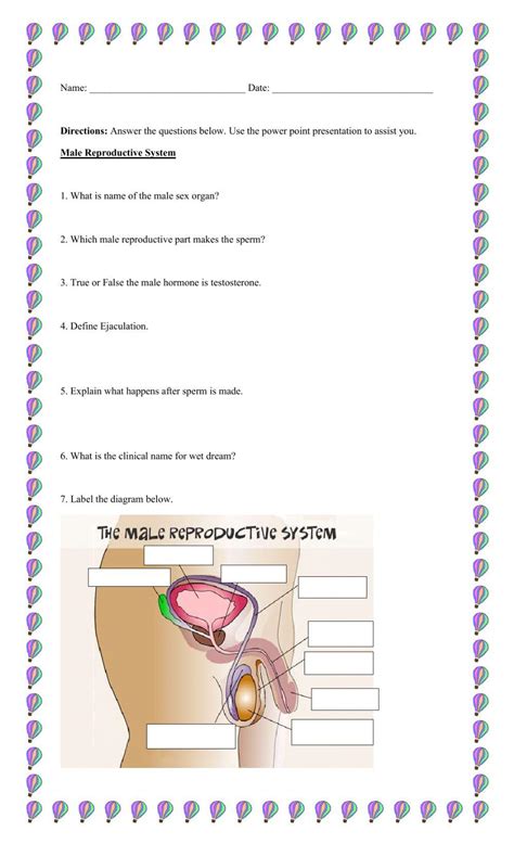 Male Reproductive System Online Exercise Live Worksheets