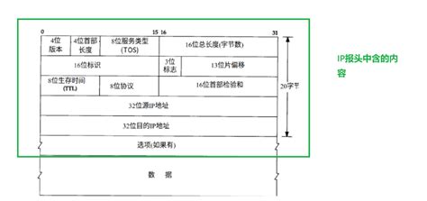 封装和分用（网络原理）tcp和udp各发一个60000的包各层协议处理方式 Csdn博客