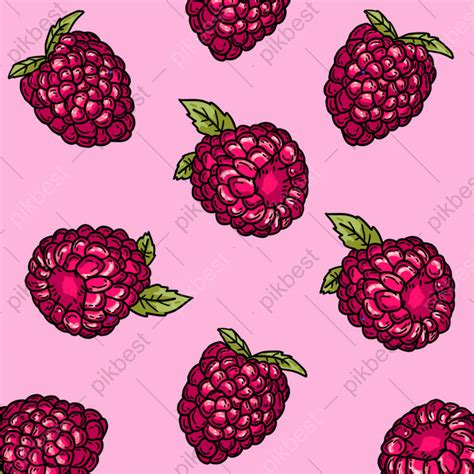 Cartoon Raspberry