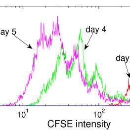CFSE Dilution Left And Typical CFSE Intensity Histograms Right Download Scientific Diagram