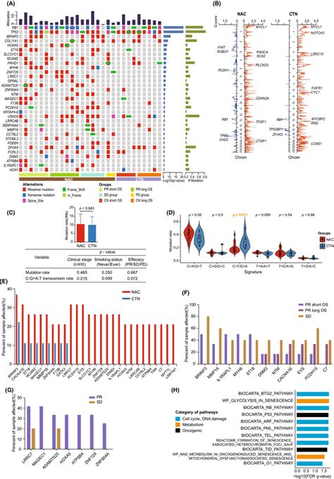 Genomic Alterations In Small Cell Lung Cancer With Neo‐adjuvant Download Scientific Diagram