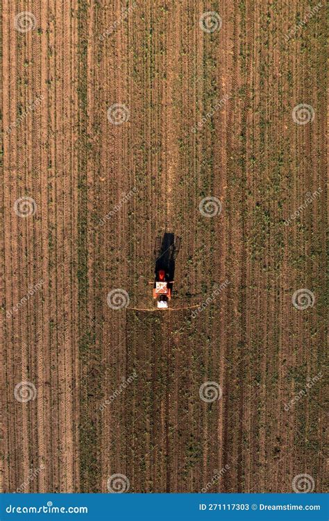 Spraying Herbicide From The Nozzle To Para Grass Weeds Royalty Free