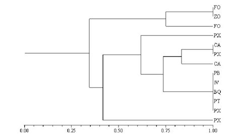 Dendrogram Obtained With Jaccard Similarity Coefficient And Upgma