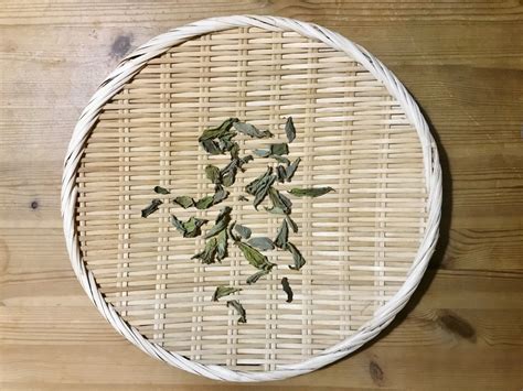 収穫したハーブを部位ごとに自然乾燥させる方法｜葉・花・種子・根・果実の乾燥方法をざっくり解説 Fenne