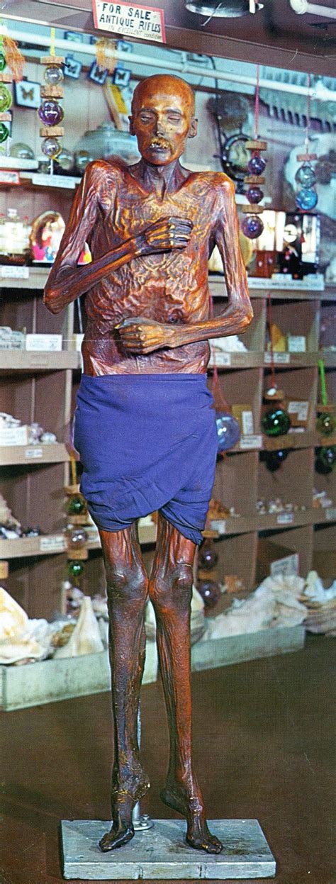 Vintage Sylvester The Desert Mummy About 1895 Two Wandering