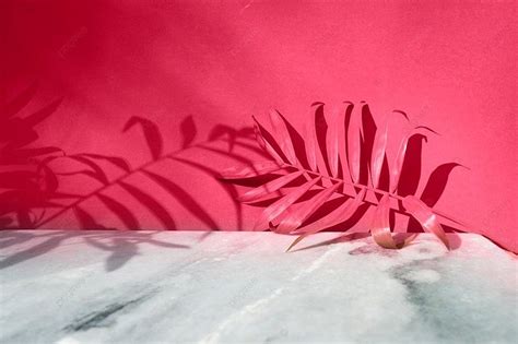 야자잎과 그림자 오버레이가 있는 비바 마젠타 배경에 있는 회색 돌의 최소한의 현대적인 제품 디스플레이 최소 제품 디스플레이 사진 및 무료 다운로드를위한 그림 Pngtree