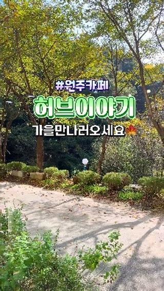원주 카페 허브이야기 ㅣ 수제와플 Cafeherbstory • Instagram Photos And Videos