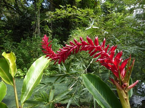 The Fibonacci Sequence Natures Hidden Code And Spiritual Blueprint The Eye Of Mother Nature