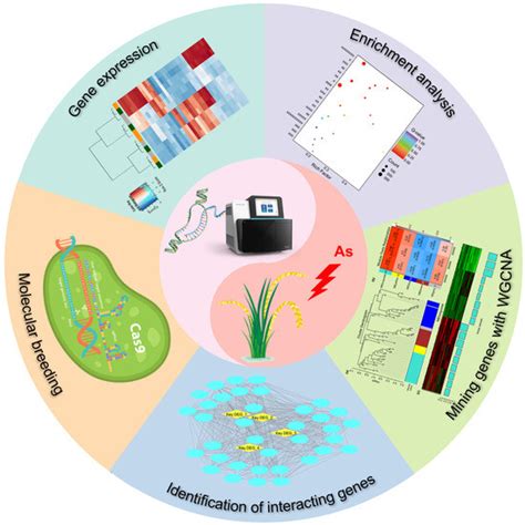 Recent Advances In Transcriptome Analysis Within The Realm Of Low