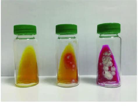 Dermatophyte Test Medium Dtm Composition Preparation Uses Microbe Online