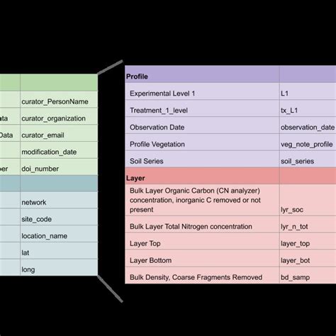 Diagram Showing Hierarchical Relationship Between Data Fields In The Download Scientific