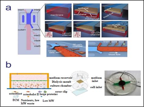 Early Diagnosis Of Lung Cancer Using Magnetic Nanoparticles Integrated Systems