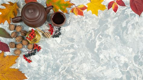 파스텔 회색 배경에 꿀을 곁들인 단풍 애쉬 베리 차로 만든 플랫 레이 가을 구성 카피 공간이있는 상단 보기 0명에 대한 스톡 사진 및 기타 이미지 Istock