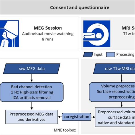 Schematic Of The Data Collection And Preprocessing Procedure Data