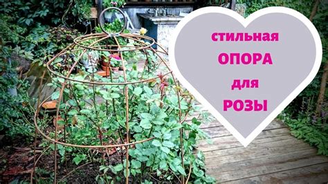 Стильная опора для розы. Установка в саду. #опорадлярастений - YouTube