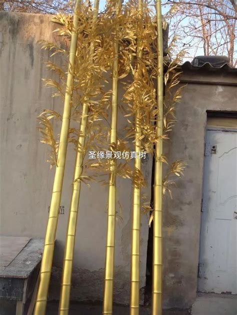 世界上最大最高的竹子巨龙竹高达45米 仿真