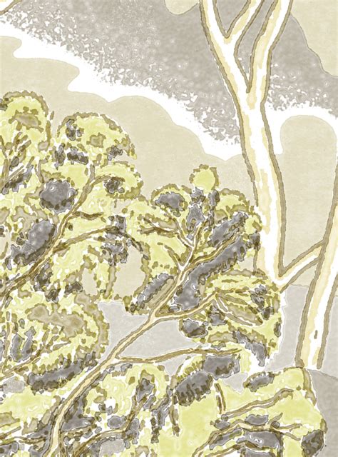 Trees Natural Wallpaper Swatchmemo Utopia Goods