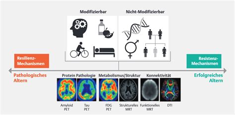 Cognitive Reserve And Resilience