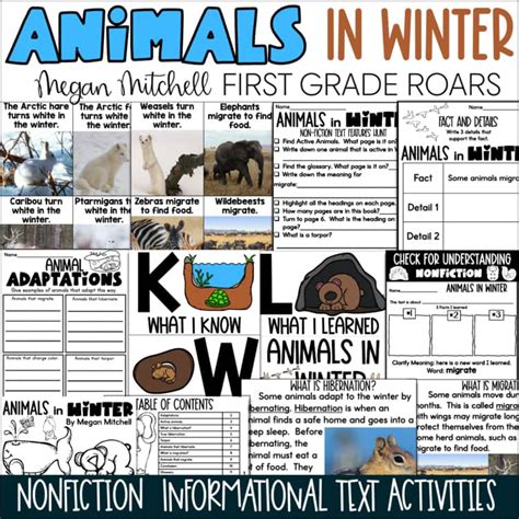 Animals In Winter Hibernation Migration Read Aloud Book And Activities