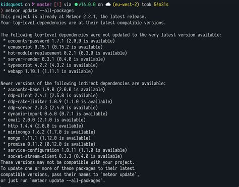 confusion between meteor update and meteor update all packages help