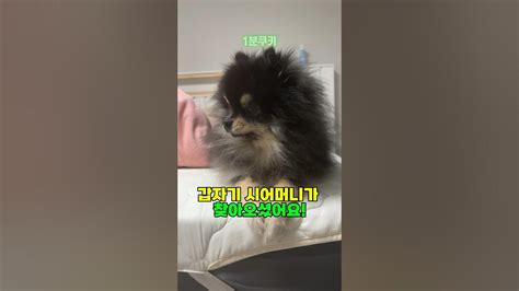 갑자기 시어머니가 방문 하셨어요 Youtube